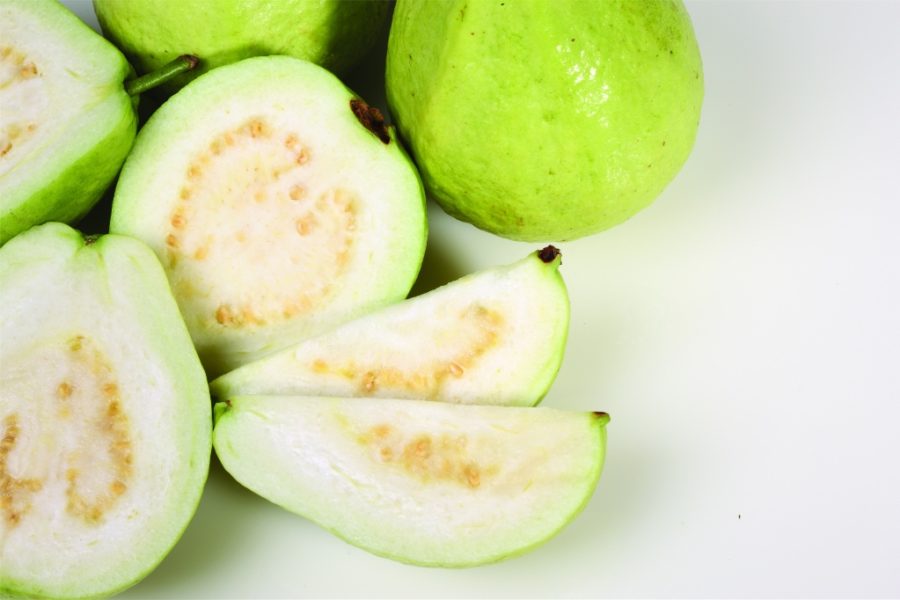 OH JAMBU.. - Saji Online